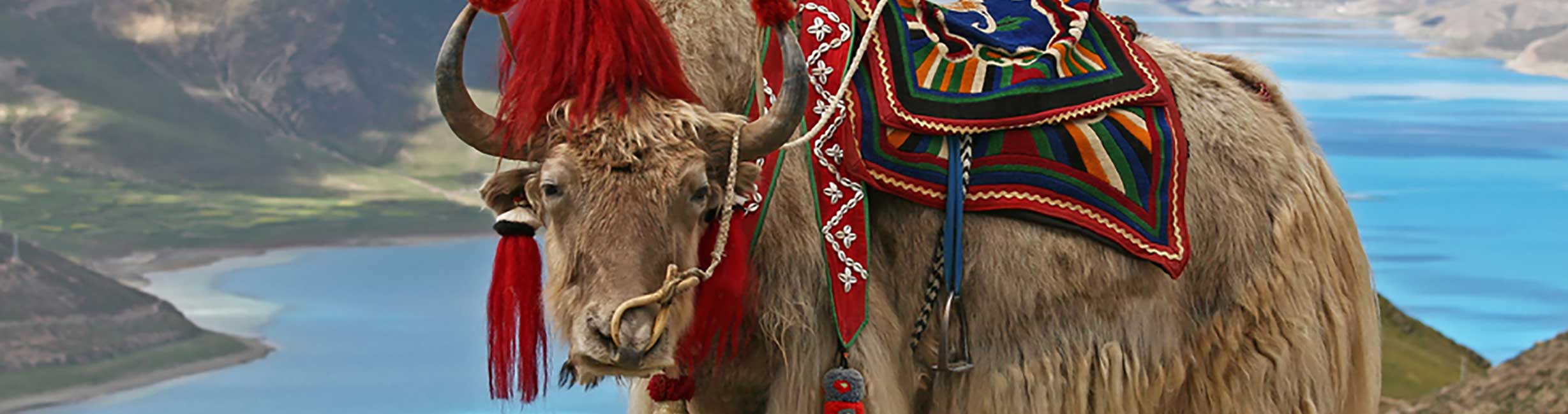 Luxury Bhutan Holidays | Book a Trip to Bhutan | Exotic Destinations