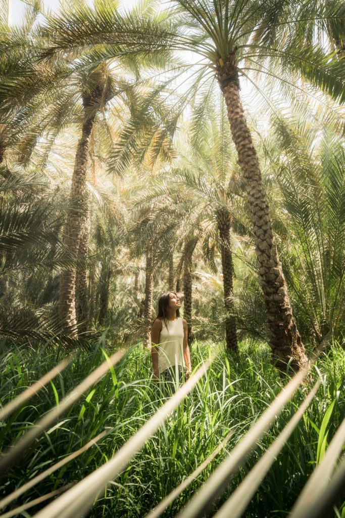 Historical tour of Al Ain | Exotic Destinations